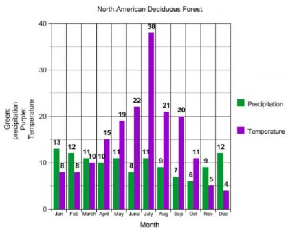Deciduous Forest Facts: Location, Animals & More - Facts.net