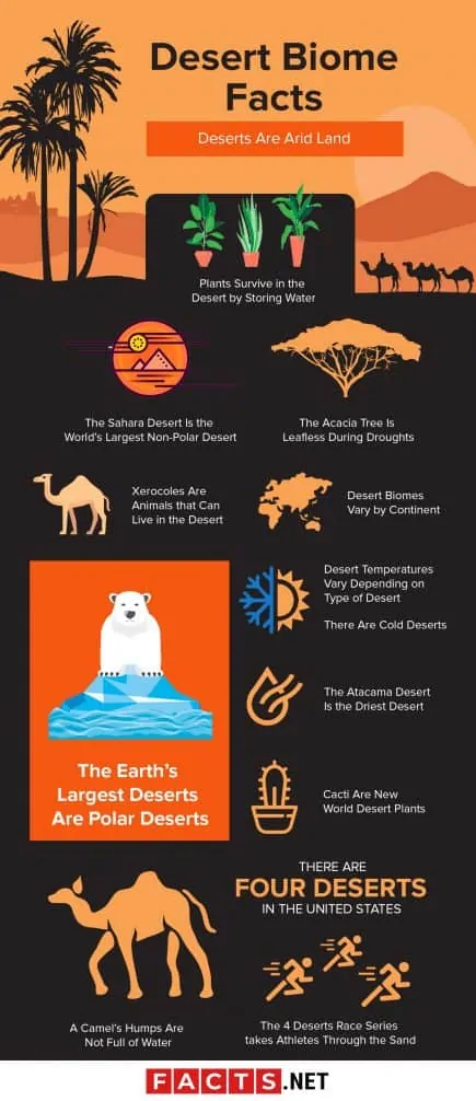14 Datos del Bioma del Desierto: Animales, Plantas, Temperatura y Más ...