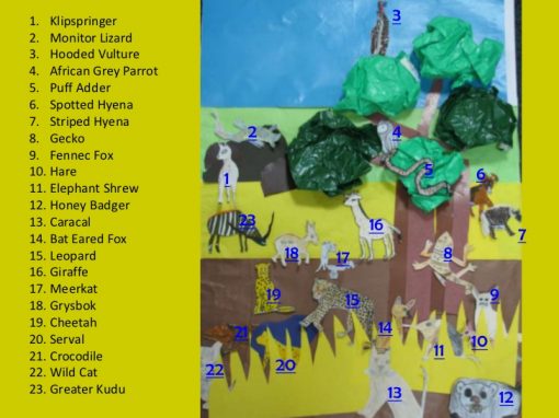 Top 16 Grassland Facts - Animals, Plants, Climate & More - Facts.net