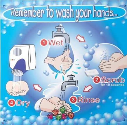 Hand Washing Facts: Statistics, Myths & More - Facts.net