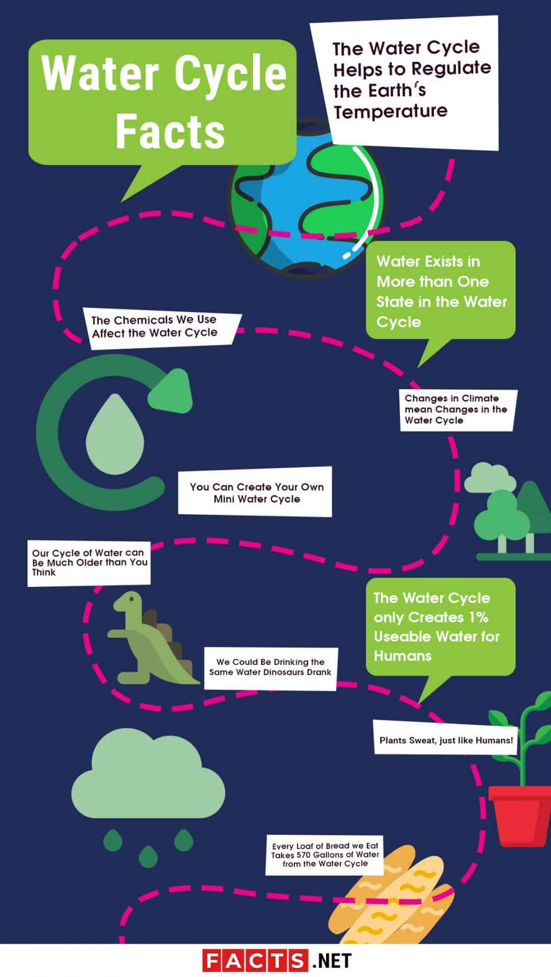 10 Water Cycle Facts - Nature, Science, Experiments & More - Facts.net