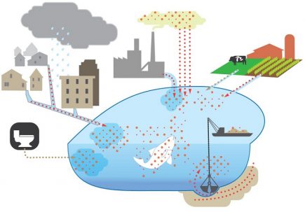 Water Pollution Facts: Causes, Effects & More - Facts.net