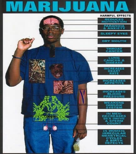 Marijuana Facts: Types, Benefits, Side Effects & More - Facts.net