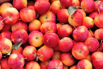 17 Best Apple Facts You Must Know - Facts.net