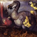 Dodo Bird Facts: Habitat, Diet, Extinction & More | Facts.net - Facts.net
