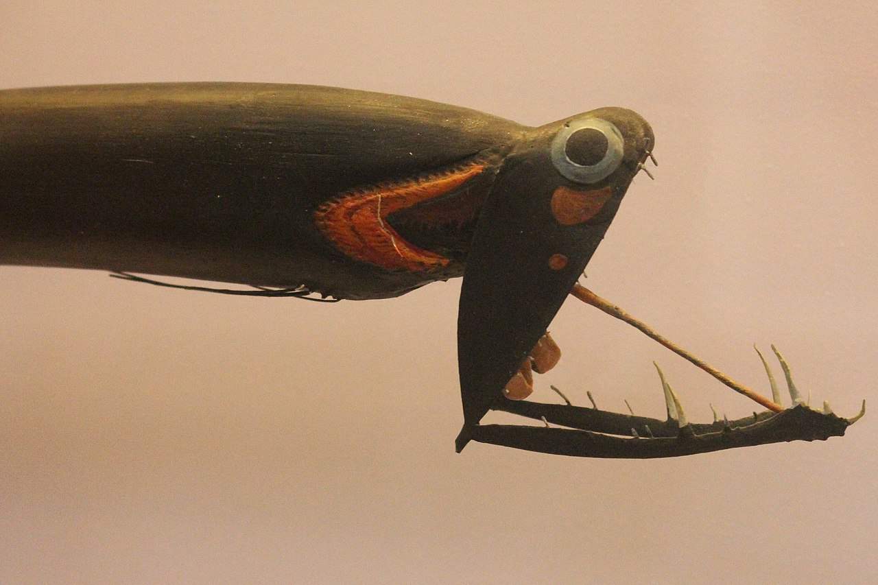 35 Essential Facts About Light You Should Know About - Facts.net