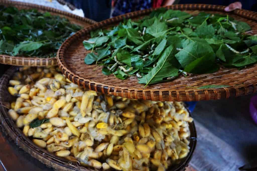 30 Silk Facts That Will Make You Feel Like Royalty - Facts.net