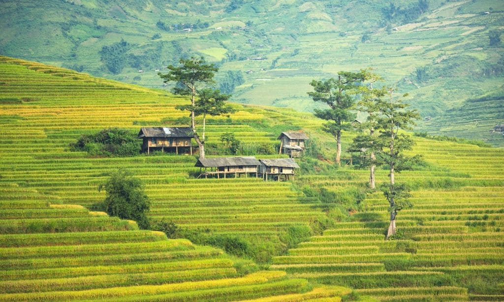 100 Amazing Facts About Thailand You Must Know - Facts.net