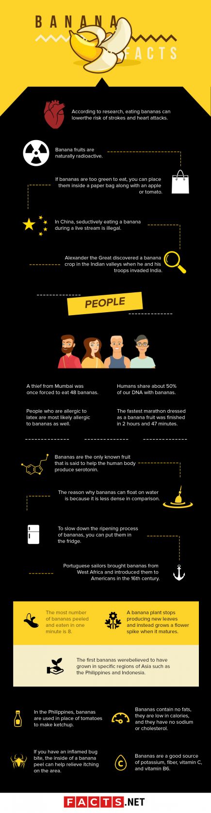 40 Banana Facts That Will Change The Way You See Bananas - Facts.net