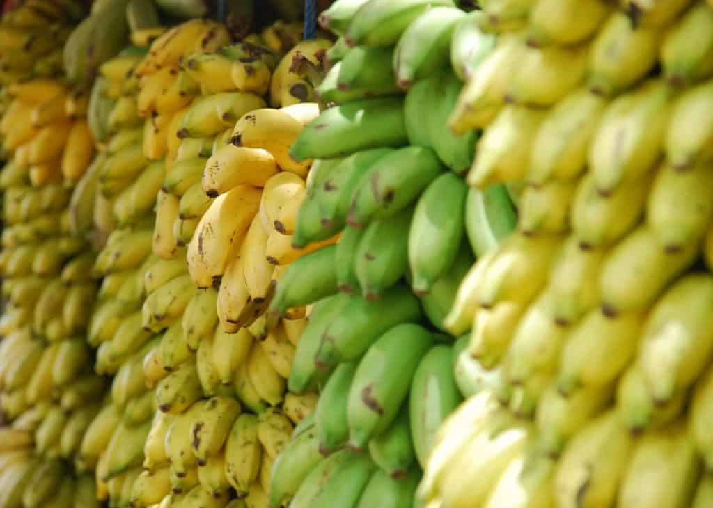 40 Banana Facts That Will Change The Way You See Bananas - Facts.net