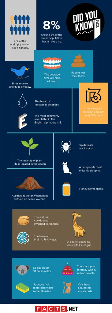 100 Did You Know Facts Most People Have Never Heard About Facts Net
