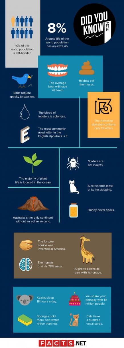 100 Did You Know Facts Most People Have Never Heard About - Facts.net