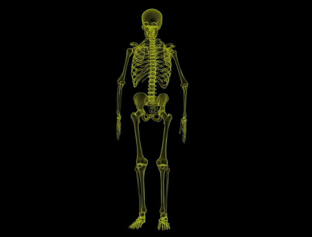 100 Fascinating Human Body Facts You Have To Know - Facts.net