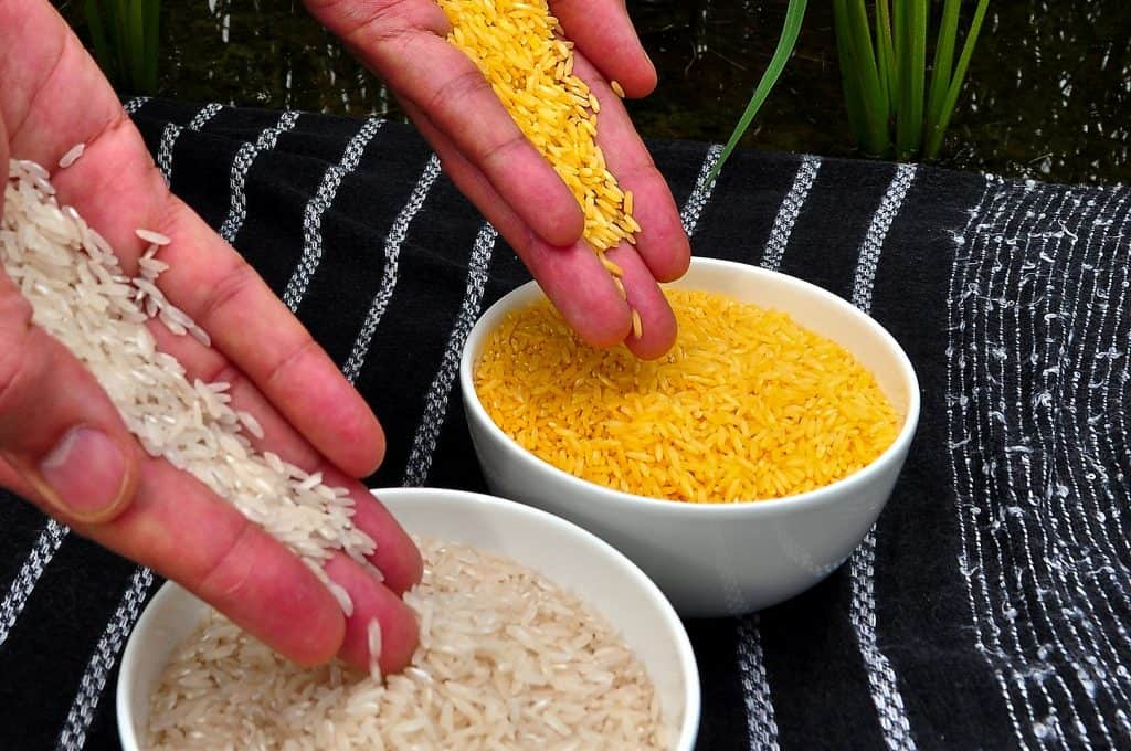 40 GMO Facts That You Really Should Know About