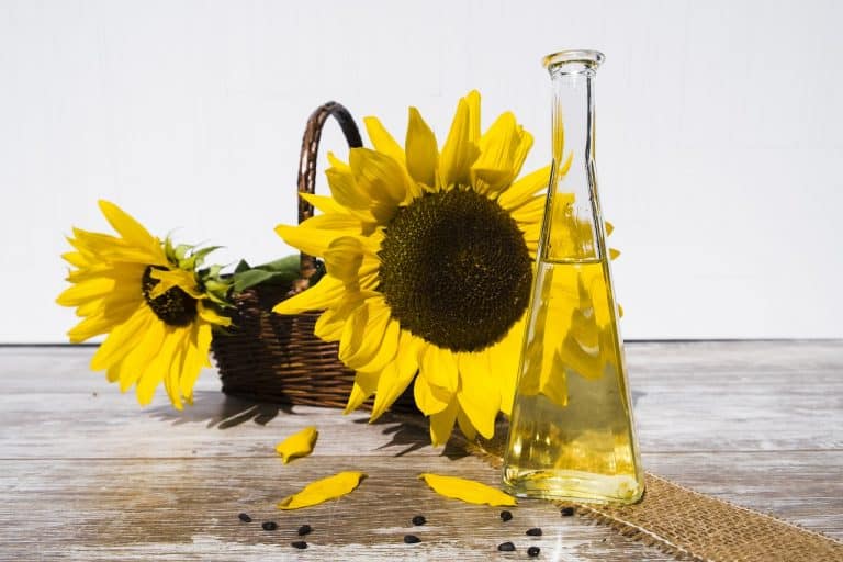 70 Interesting Sunflower Facts To Brighten Up Your Day - Facts.net