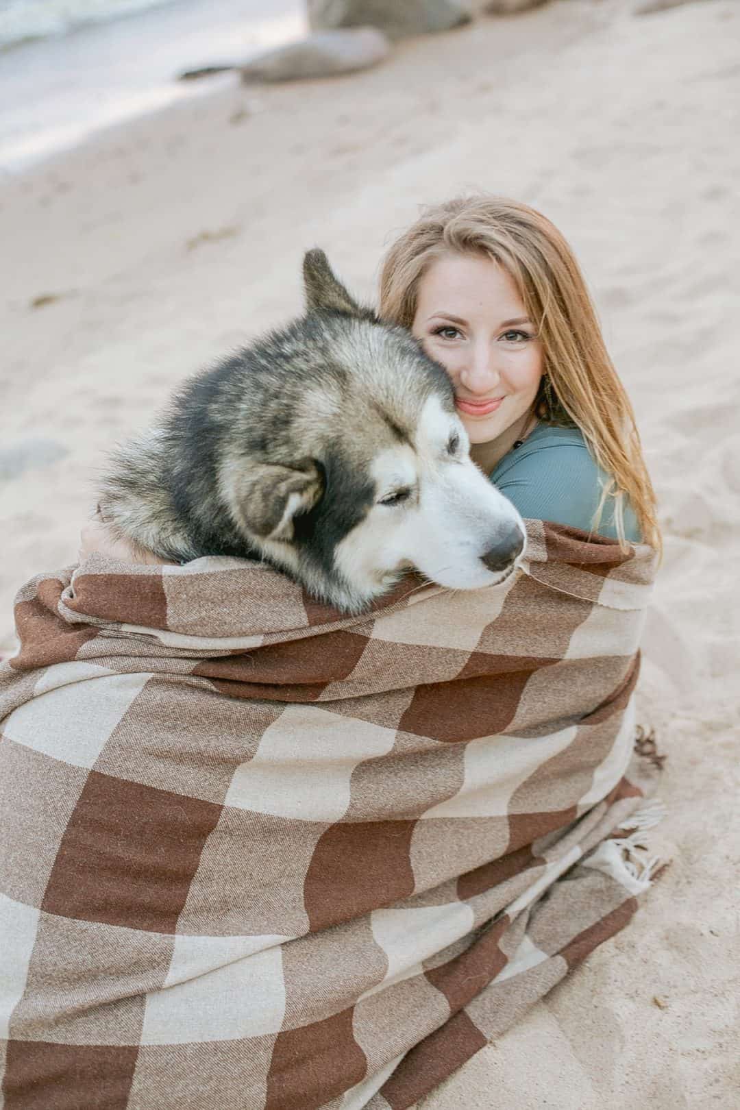 101 Interesting Siberian Husky Facts That Will Endear You - Facts.net