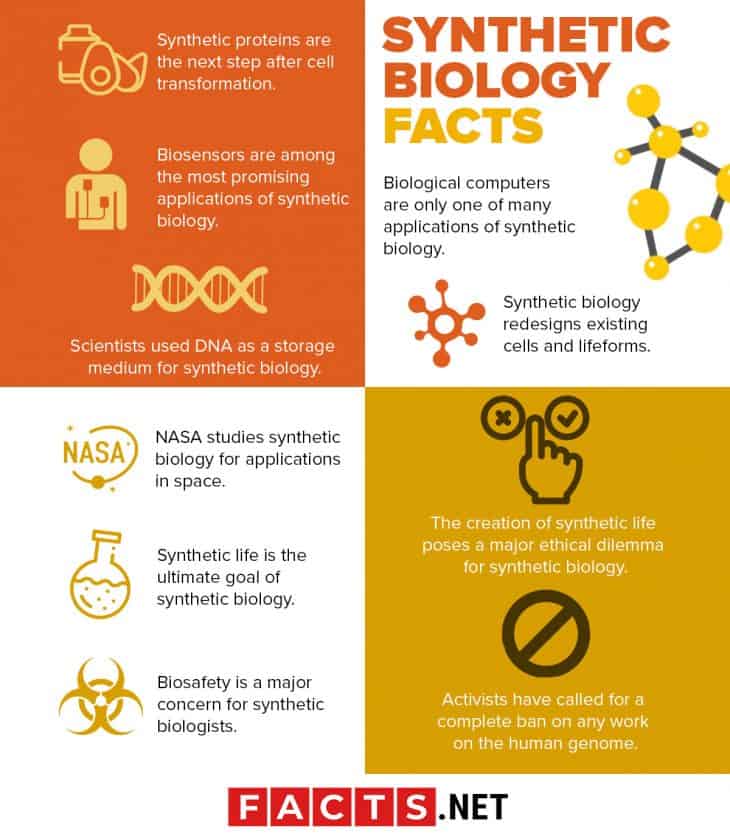 30 Intriguing Synthetic Biology Facts That Show Why It's The Future
