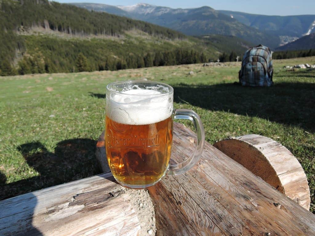 80 Beer Facts About One of the World's Most Famous Drink - Facts.net