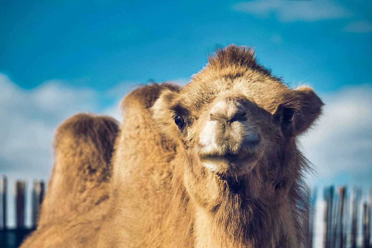 30 Surprising Wednesday Facts: Hump Day And Everything Should Know