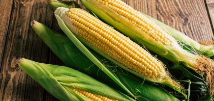 50 Corn Facts That Are Not-So-Corny Afterall - Facts.net