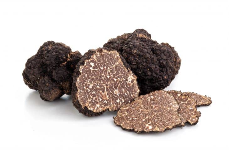 30 Truffle Facts About The World's Most Expensive Fungus - Facts.net