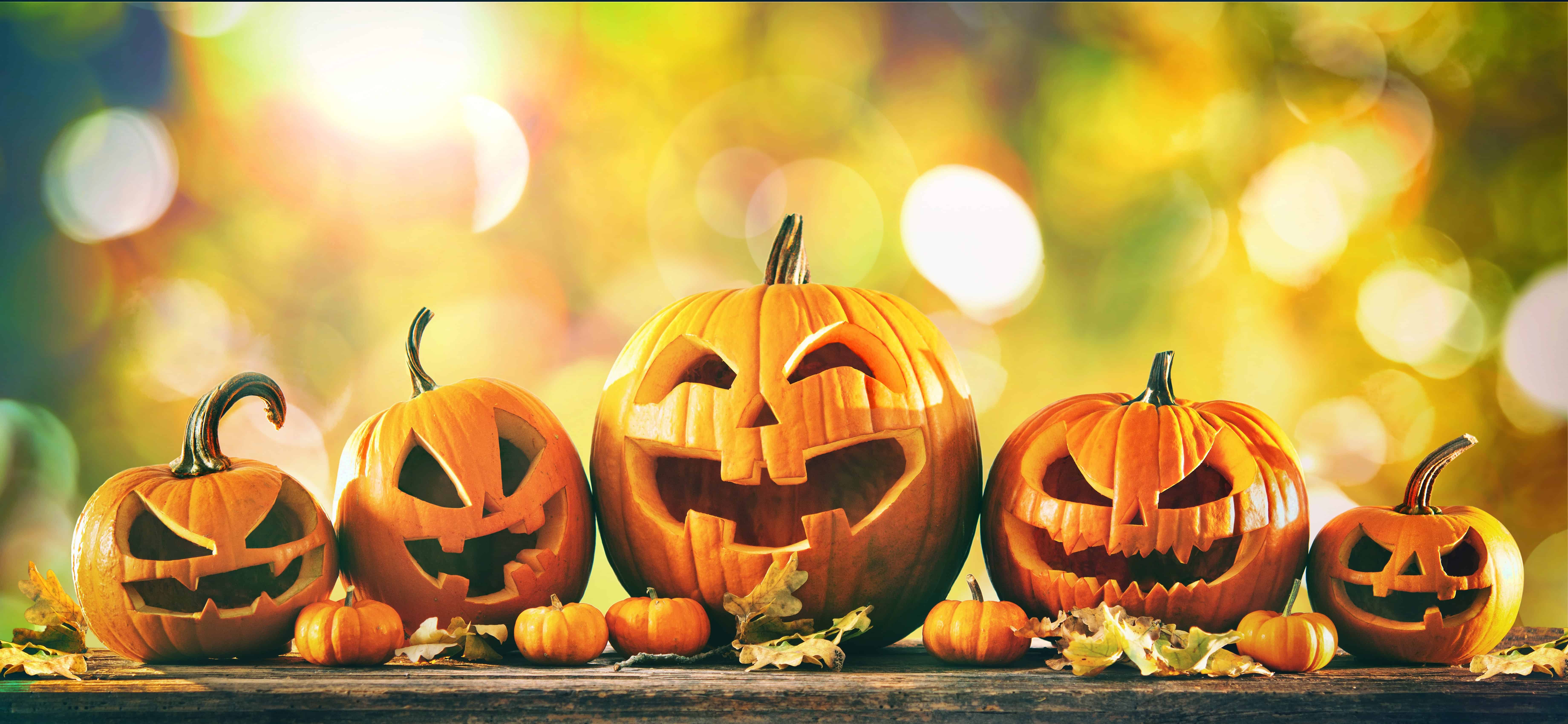 40 Fun Jack O Lantern Facts For Some Trick Or Treating Facts