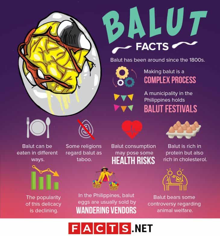 30 Bizarre Balut Facts About This Unusual Delicacy - Facts.net