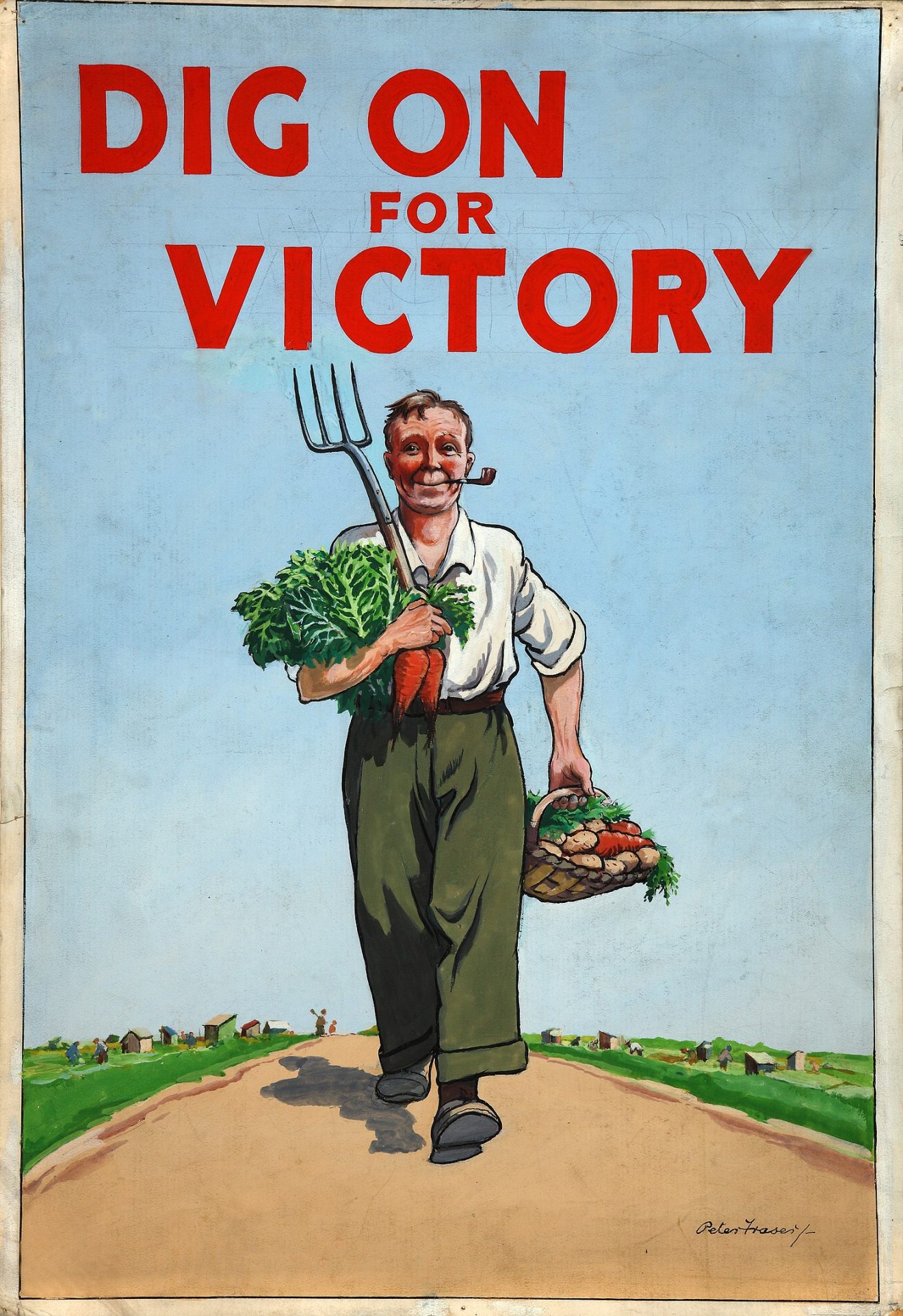 50 Interesting Carrot Facts That You Never Knew About