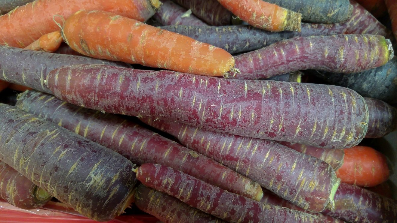 50 Interesting Carrot Facts That You Never Knew About