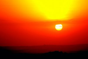 30 Essential Facts About The Color Red That You Never Knew About