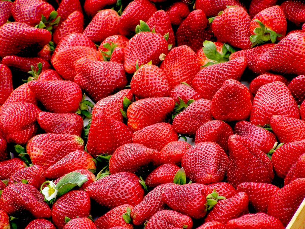 50 Berry Strawberry Facts That Will Amaze You - Facts.net
