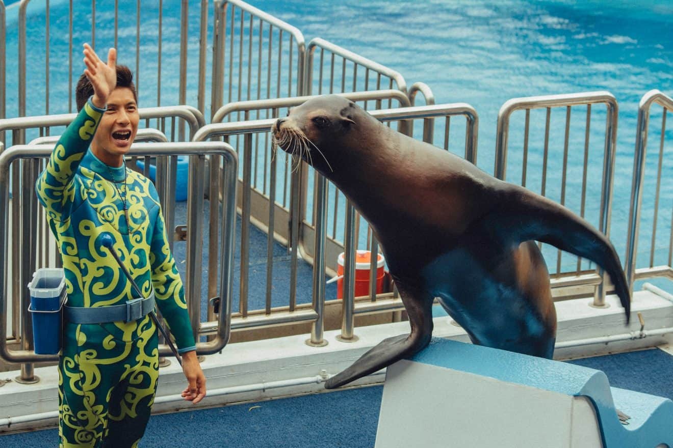 20 Most Intelligent Animals You Never Expected - Facts.net