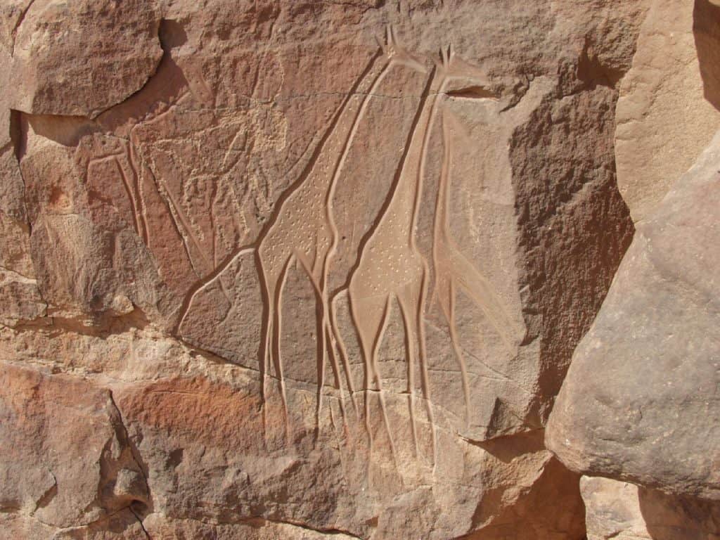 40 Sahara Desert Facts About The Great Desert of Africa - Facts.net