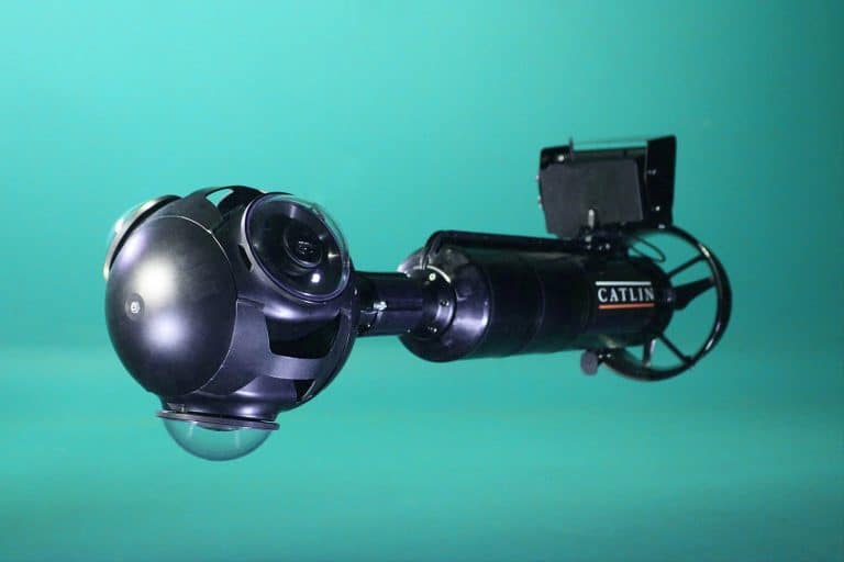 40 Mysterious Loch Ness Monster Facts & Secrets - Facts.net