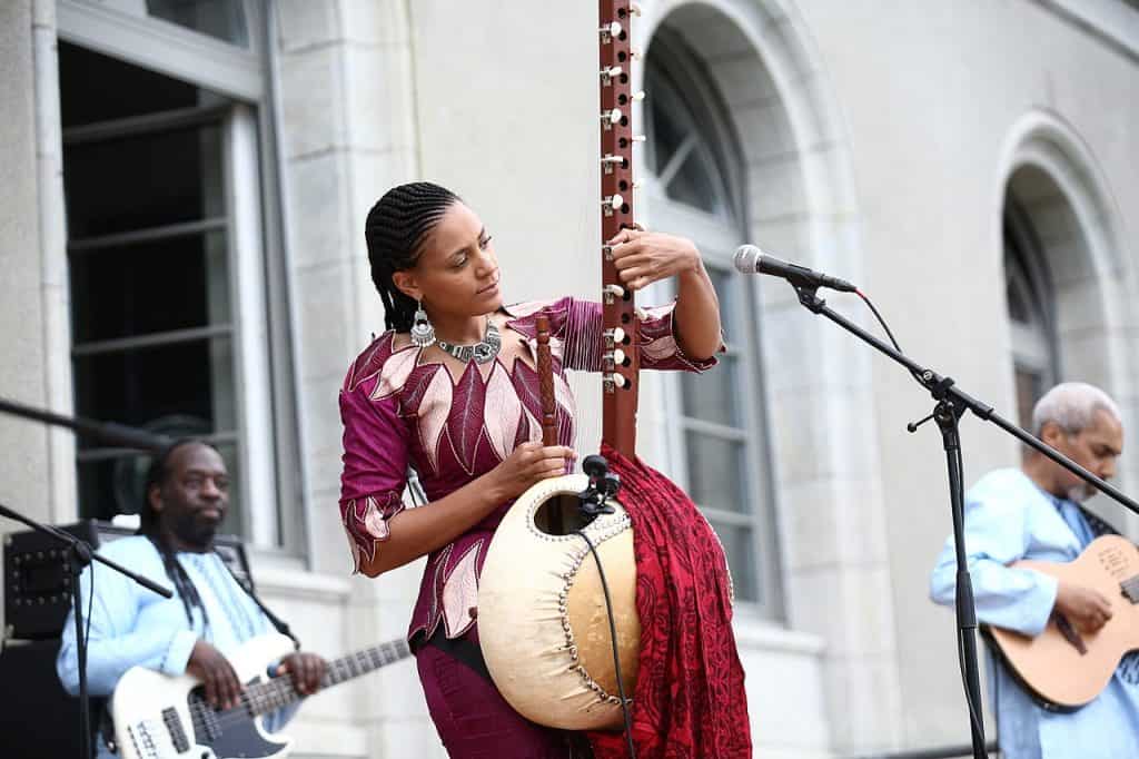 50 String Instruments For The Curious Musical Minds - Facts.net