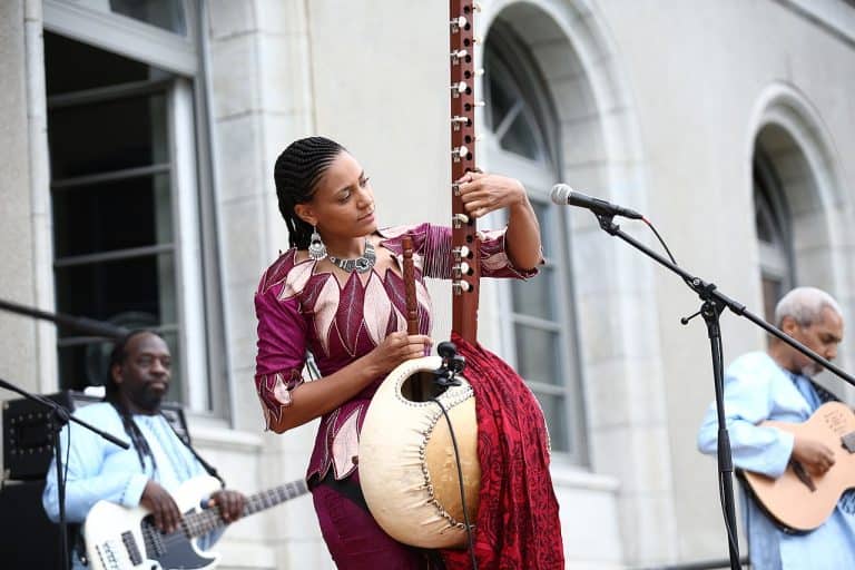 50 String Instruments For The Curious Musical Minds - Facts.net