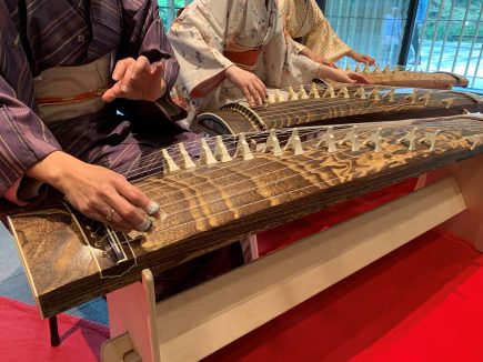 50 String Instruments For The Curious Musical Minds - Facts.net