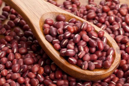 20 Types of Beans to Cook and Plant With - Facts.net