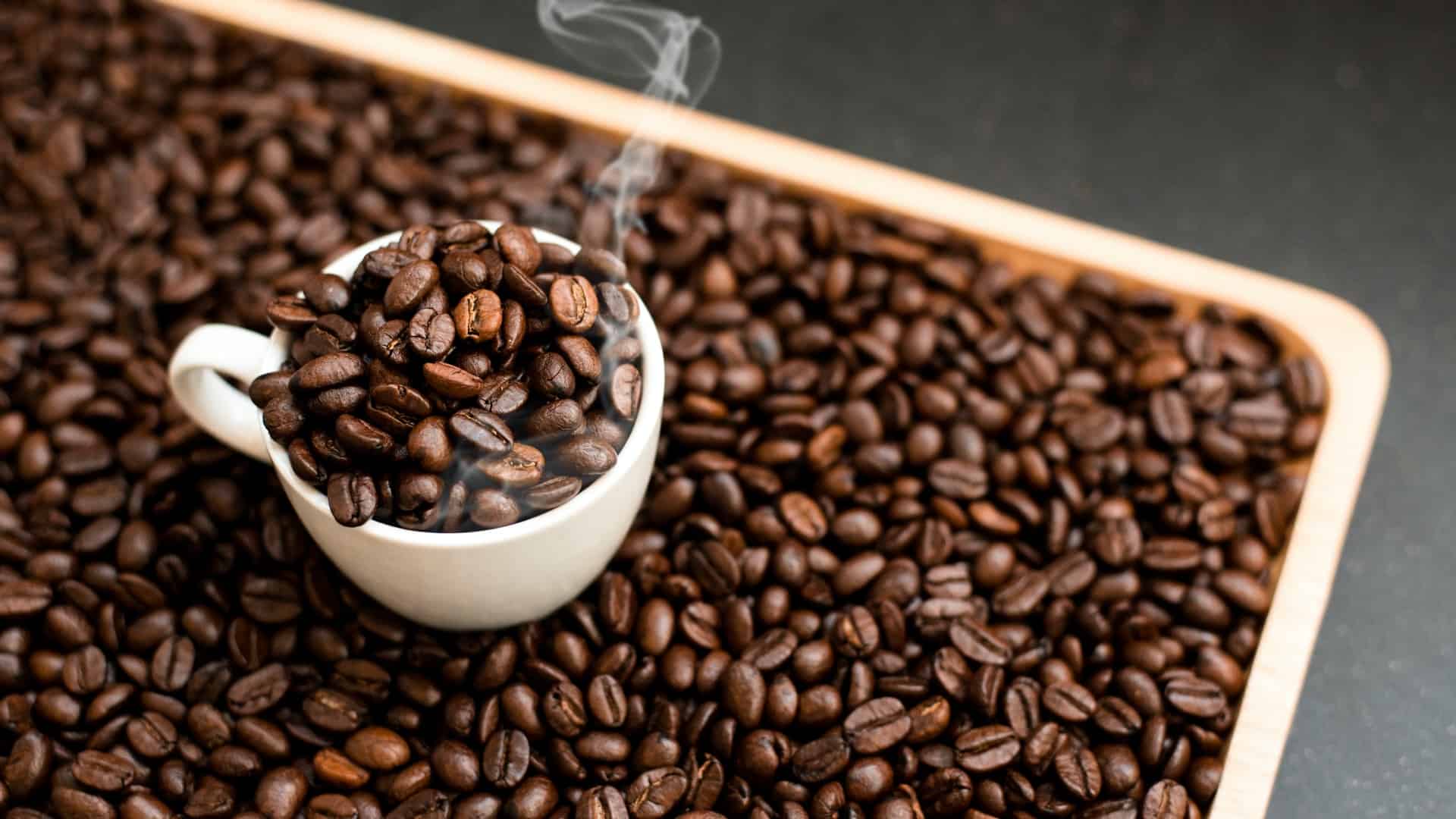 20 Types of Beans to Cook and Plant With - Facts.net