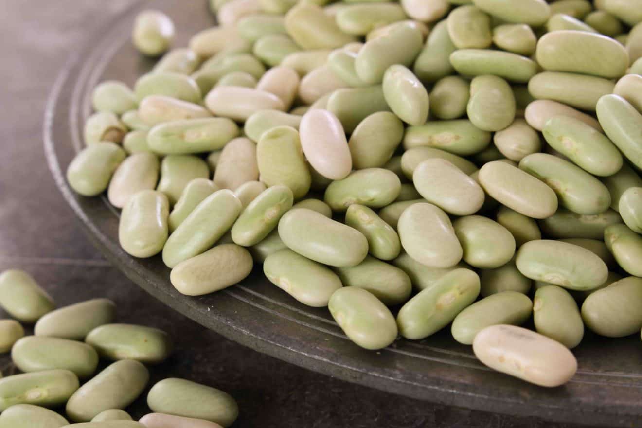20 Types of Beans to Cook and Plant With - Facts.net