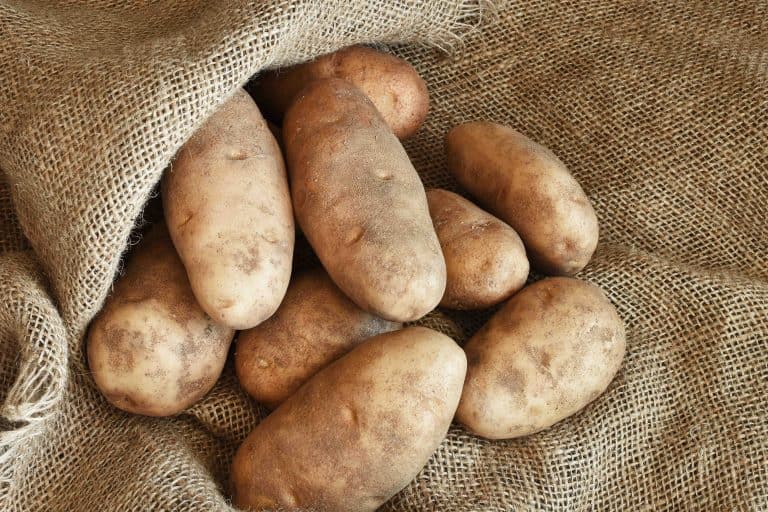 20 Types of Potatoes For The Best Potato Dishes - Facts.net