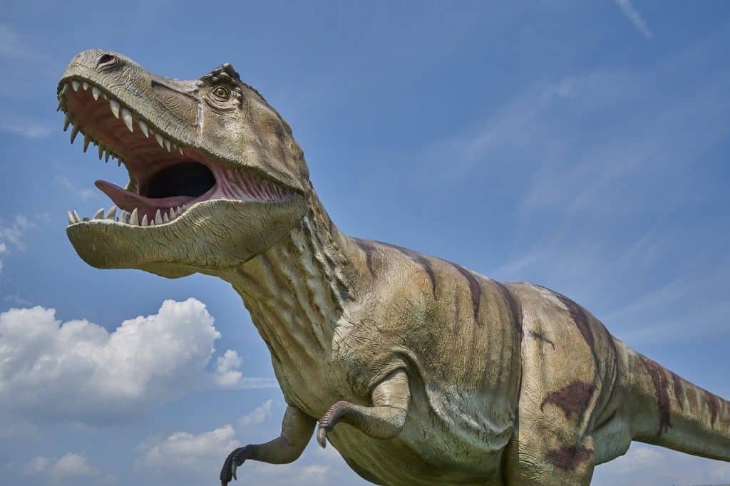 40 Tyrannosaurus Rex Facts About the Greatest Predator in History ...