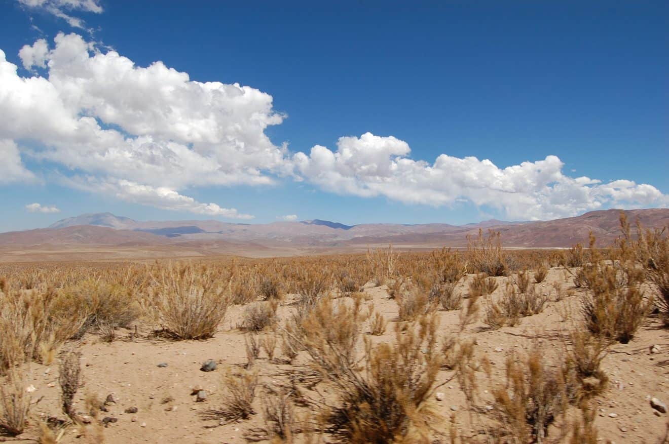 50 Atacama Desert Facts: Its History, Ecosystem, and More - Facts.net