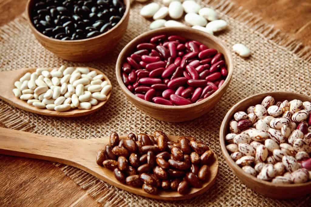 20 Types of Beans to Cook and Plant With - Facts.net