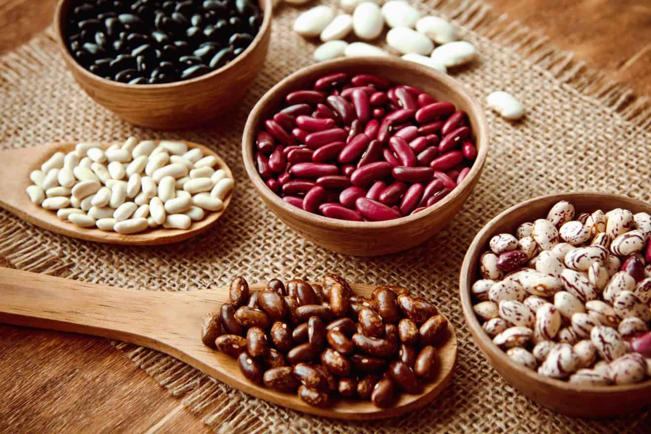 20 Types of Beans to Cook and Plant With - Facts.net