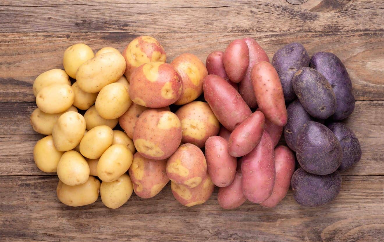13 Facts About Sweet Potato - Facts.net