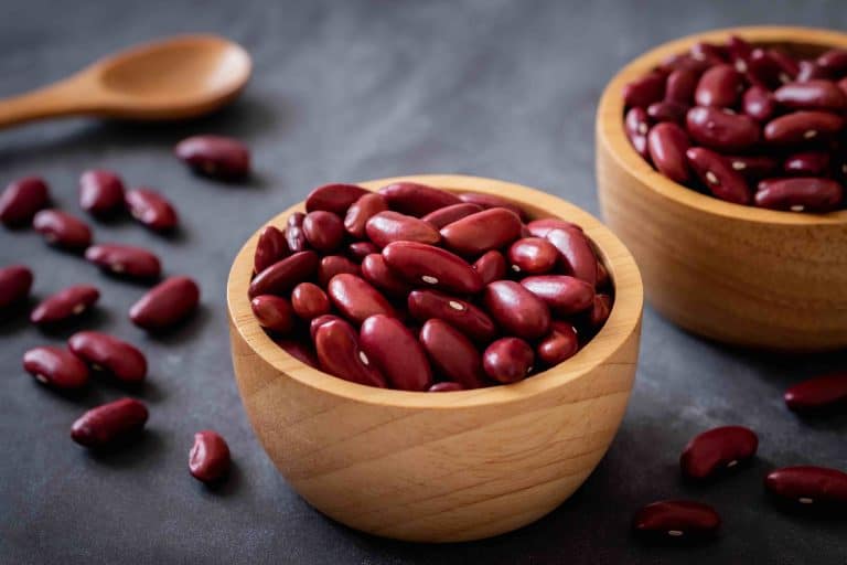 20 Types of Beans to Cook and Plant With - Facts.net