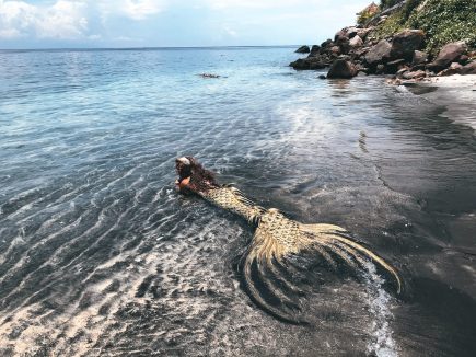 60 Mermaid Facts That Are Too Mysterious To Miss - Facts.net