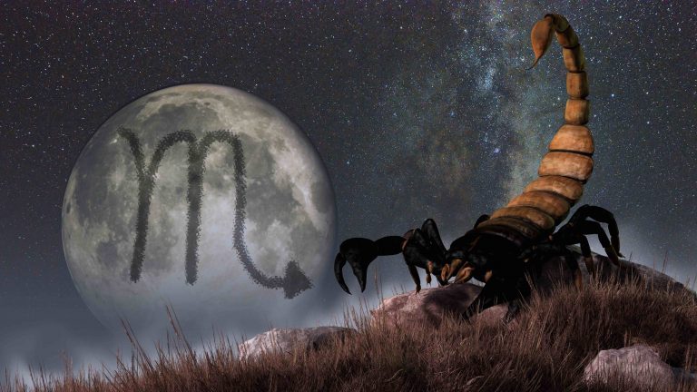 50 Scorpio Facts About The Most Passionate Zodiac Sign - Facts.net