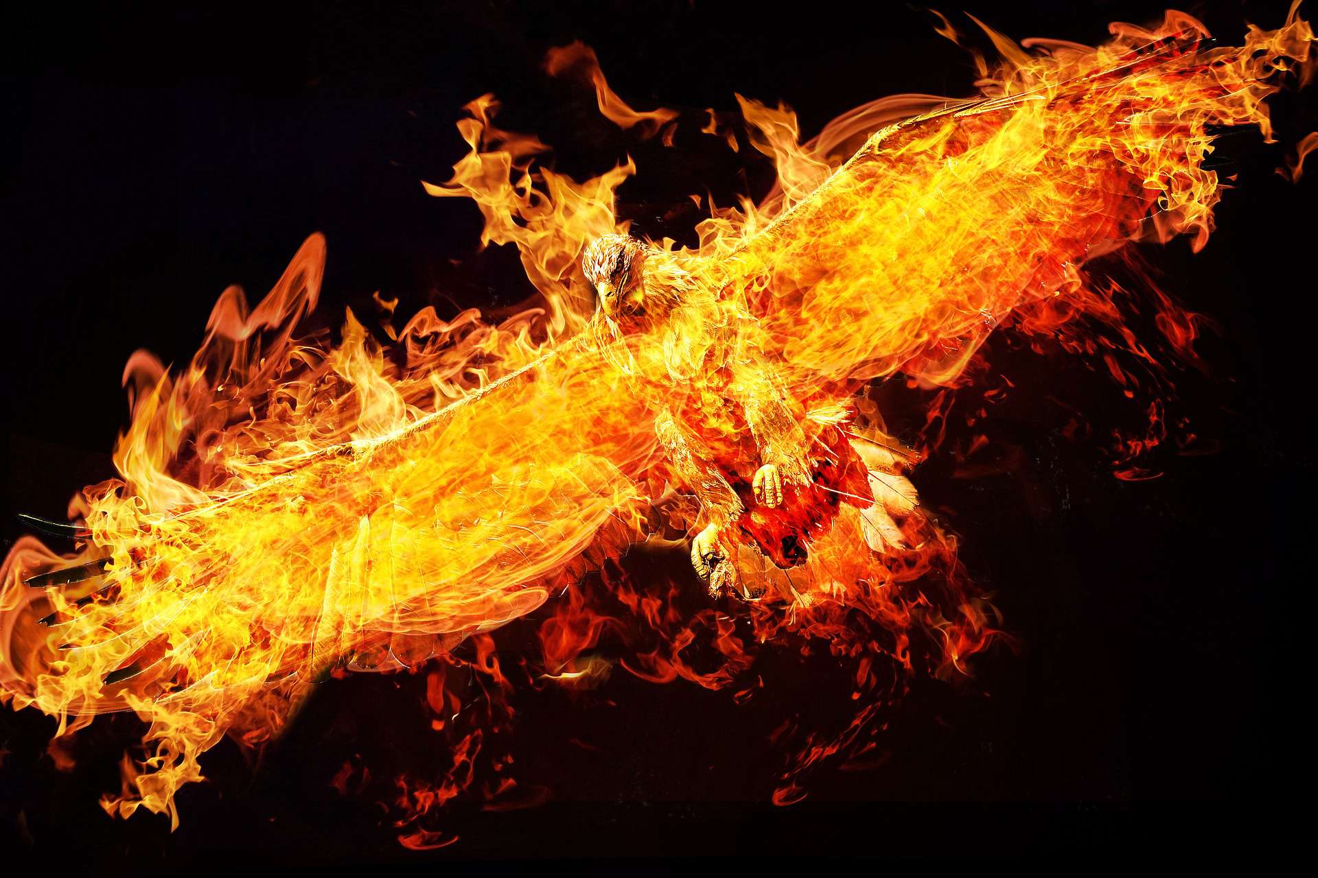 50 Scorpio Facts About The Most Passionate Zodiac Sign - Facts.net